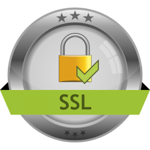 SSL؛ راهنمایی برای امنیت وب سایت‌ها